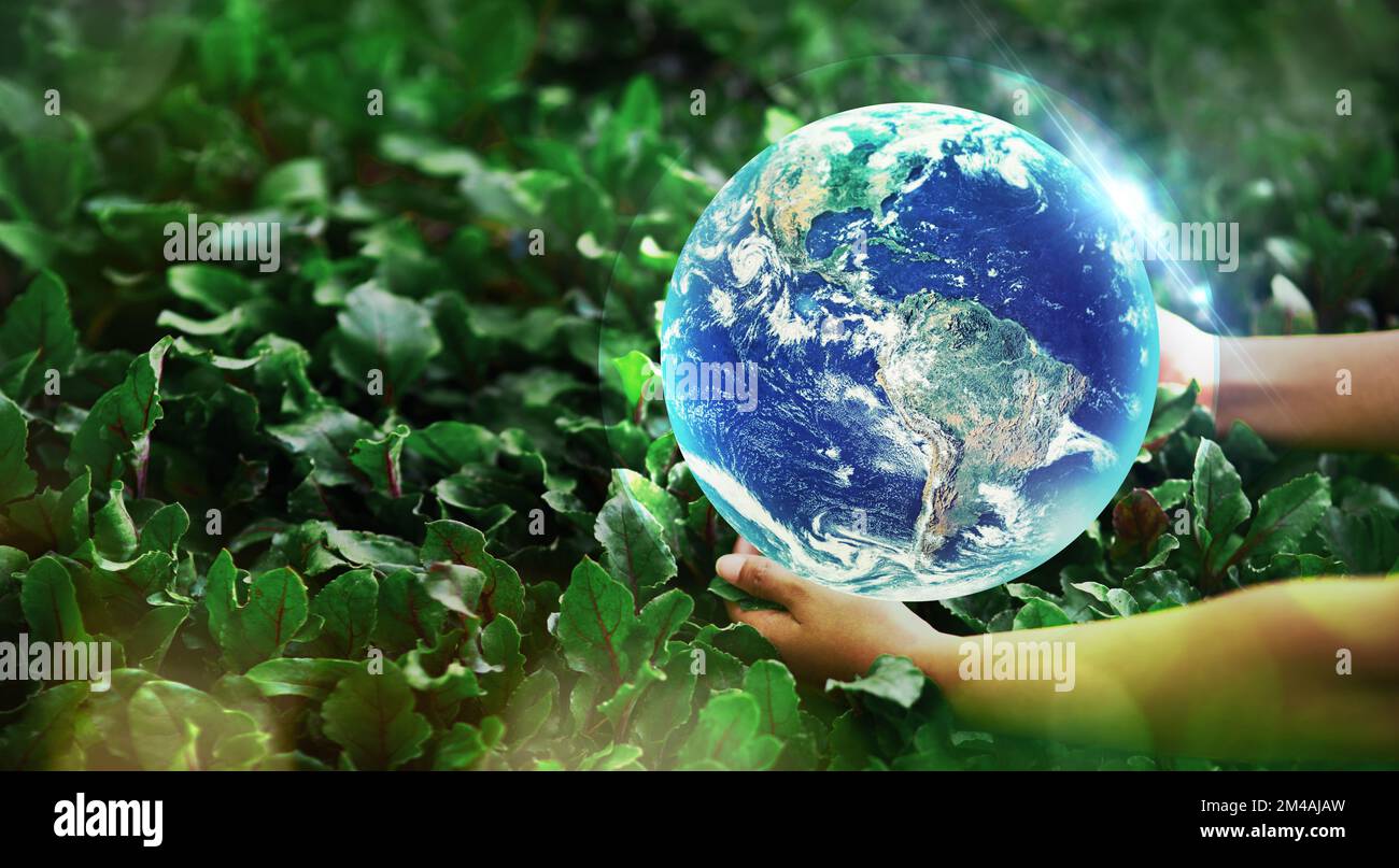 Planet, plants and sustainability in eco friendly farming with graphic ...