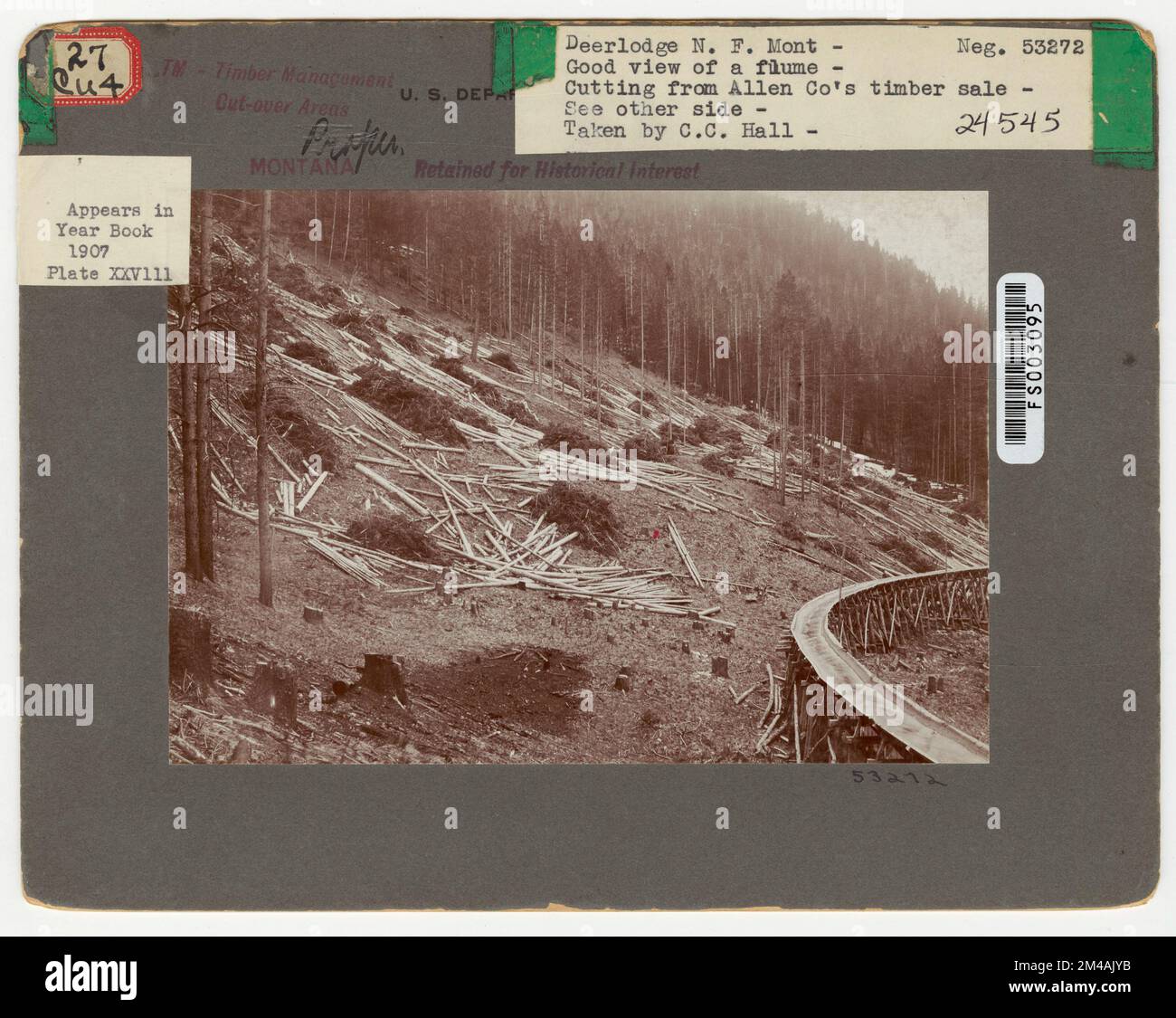 Timber Management - Partial Cutting - Montana. Photographs Relating to ...