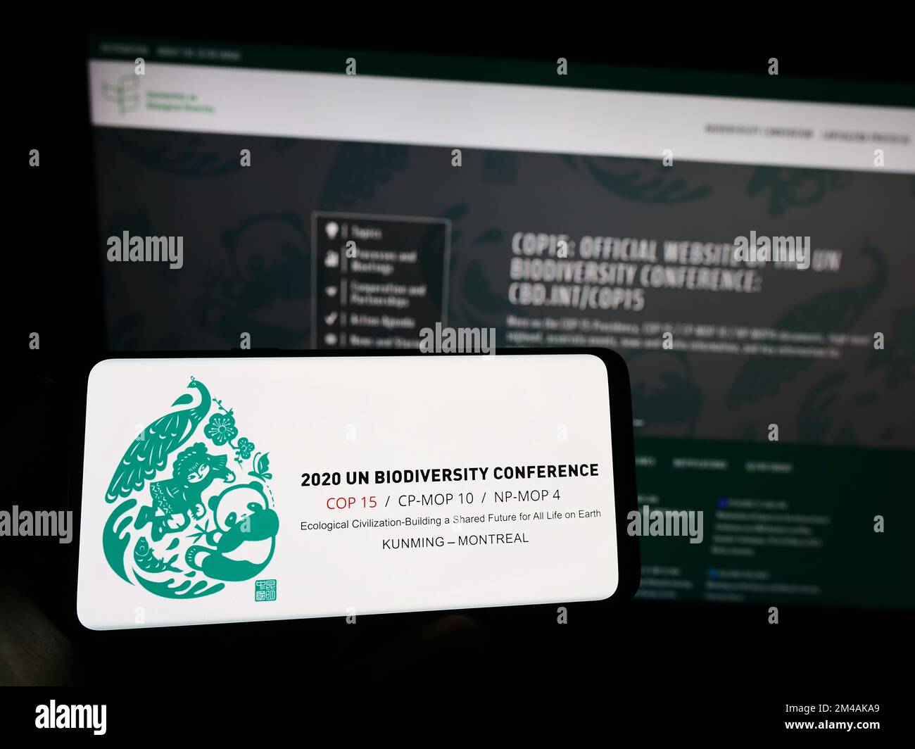 Person holding mobile phone with logo of biodiversity conference CBD ...