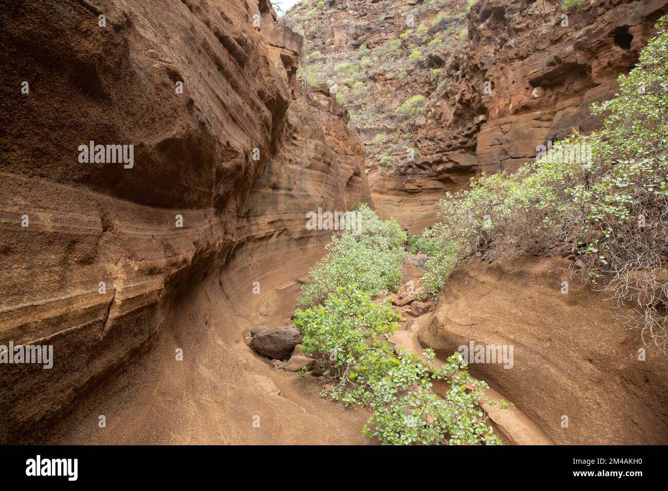 canyon called Barranco de las vacas located in heart of Grand Canaria ...