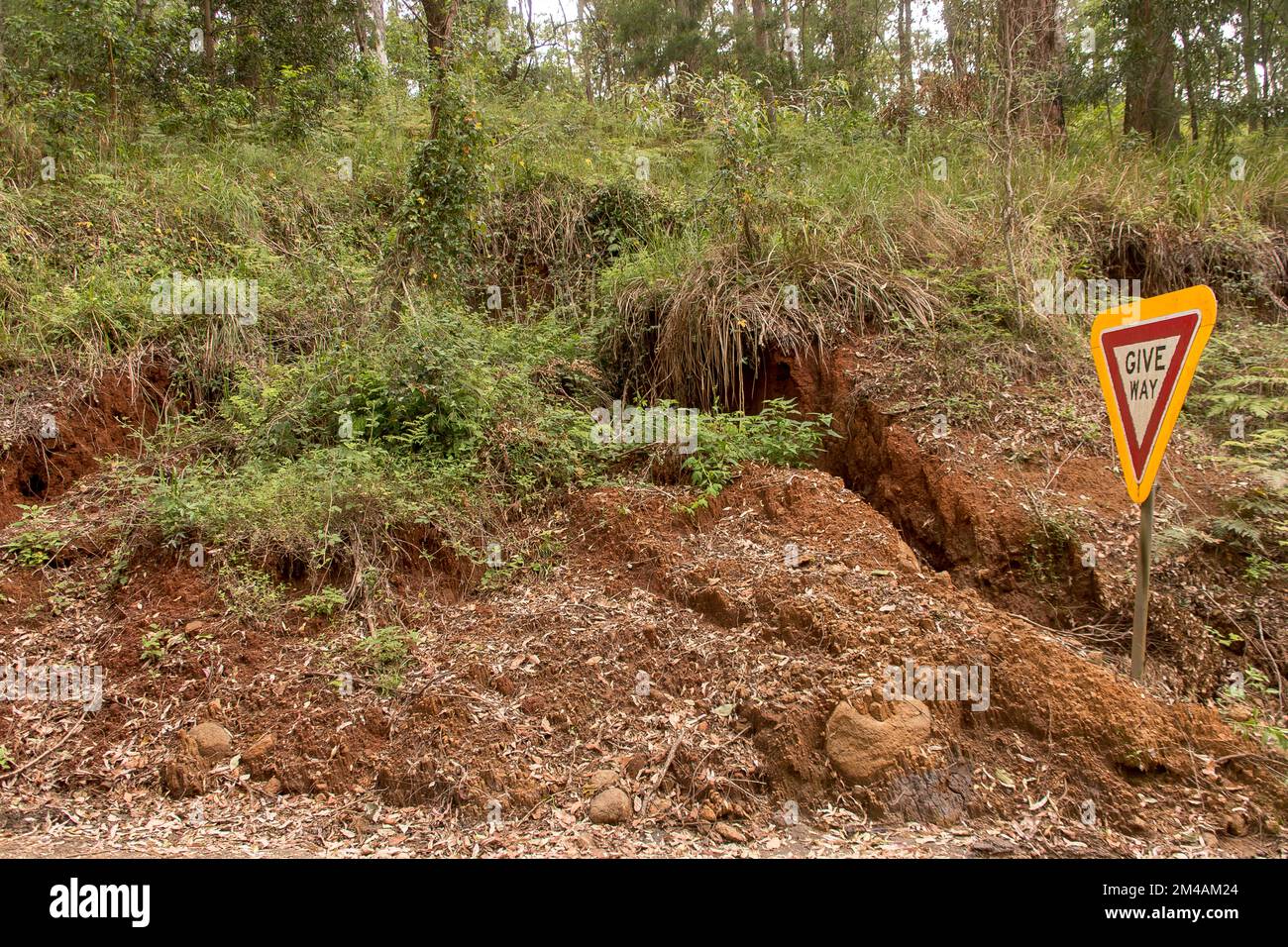 Gully formed by landslide beside country road in Queensland, Australia ...