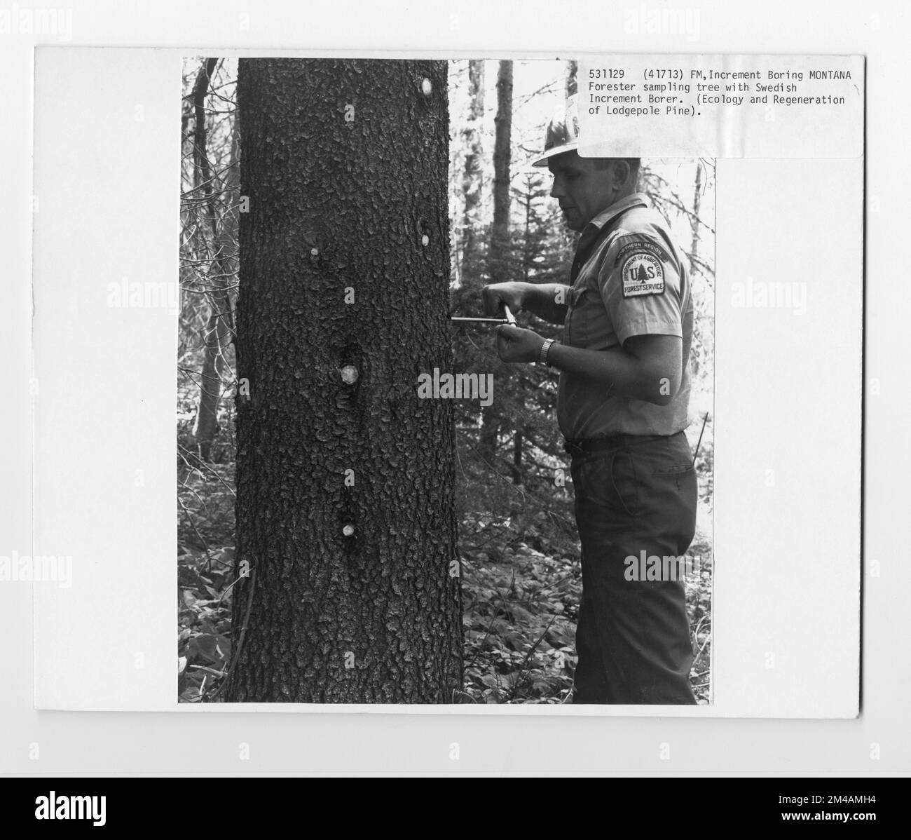 Management studies Black and White Stock Photos & Images - Alamy