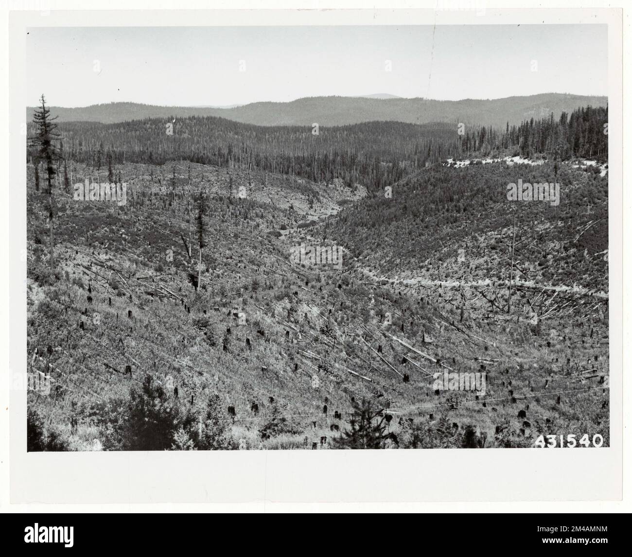 Cut -Over Areas (Repeat Series) - Montana. Photographs Relating to ...