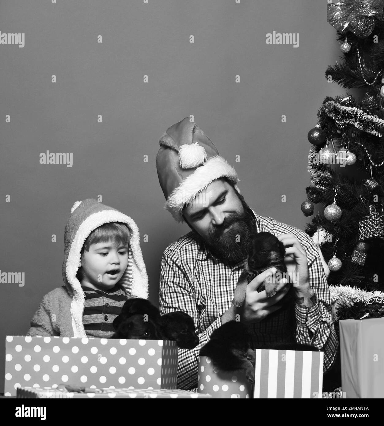 Father and son with happy faces unpack present boxes Stock Photo - Alamy