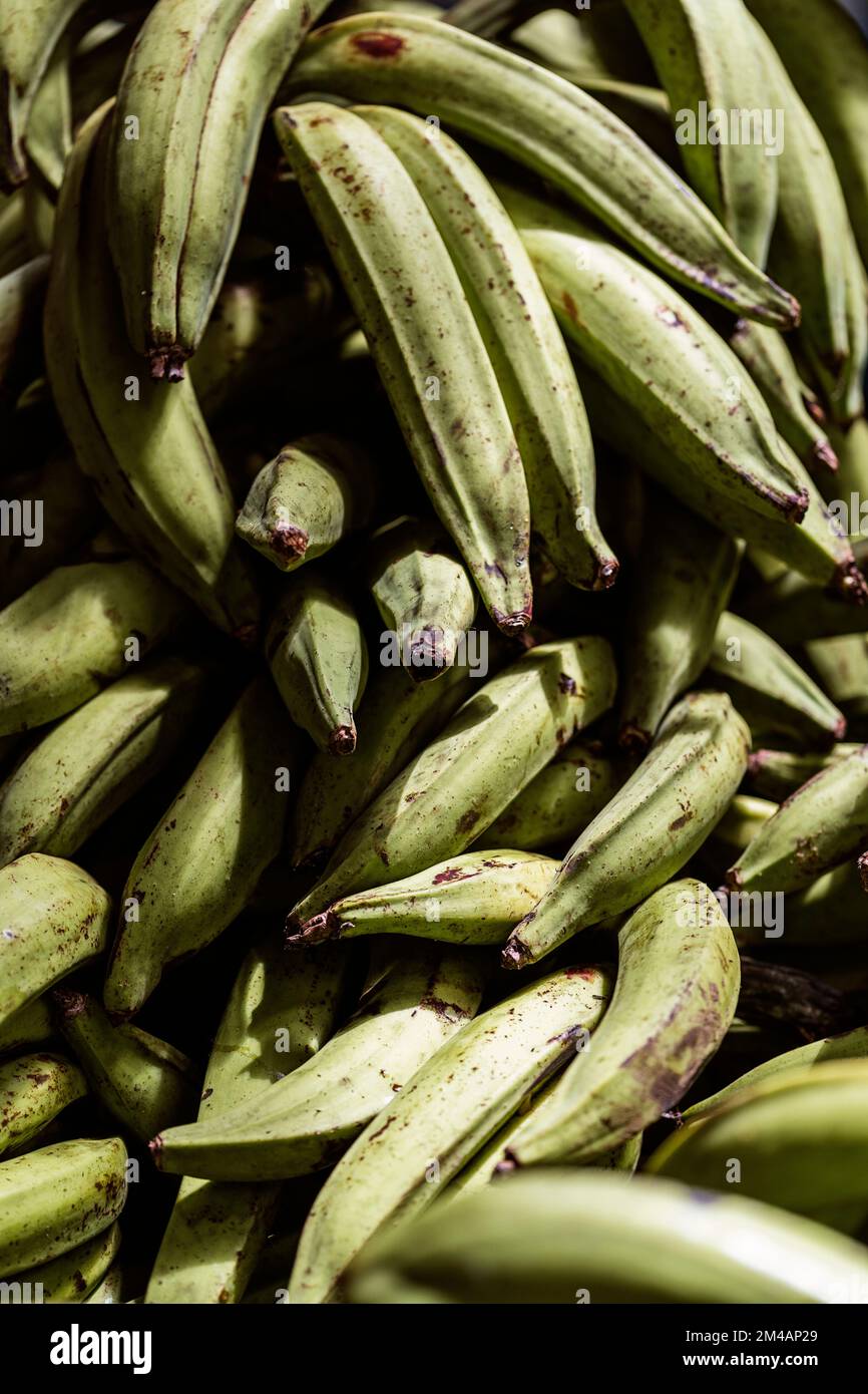 Full frame fresh green bananas placed in pile on local agricultural ...