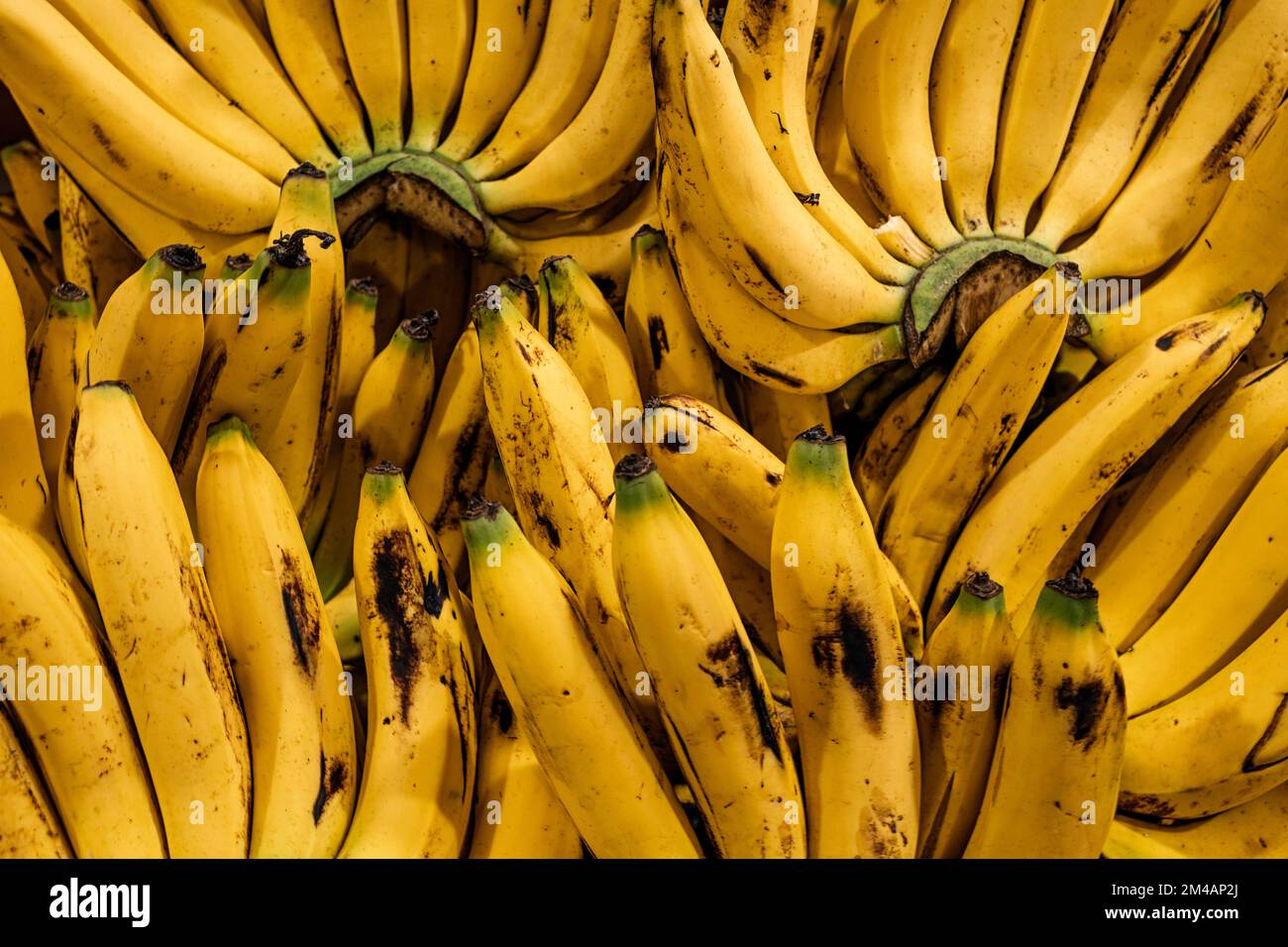 Pile yellow bananas on market hi-res stock photography and images - Alamy
