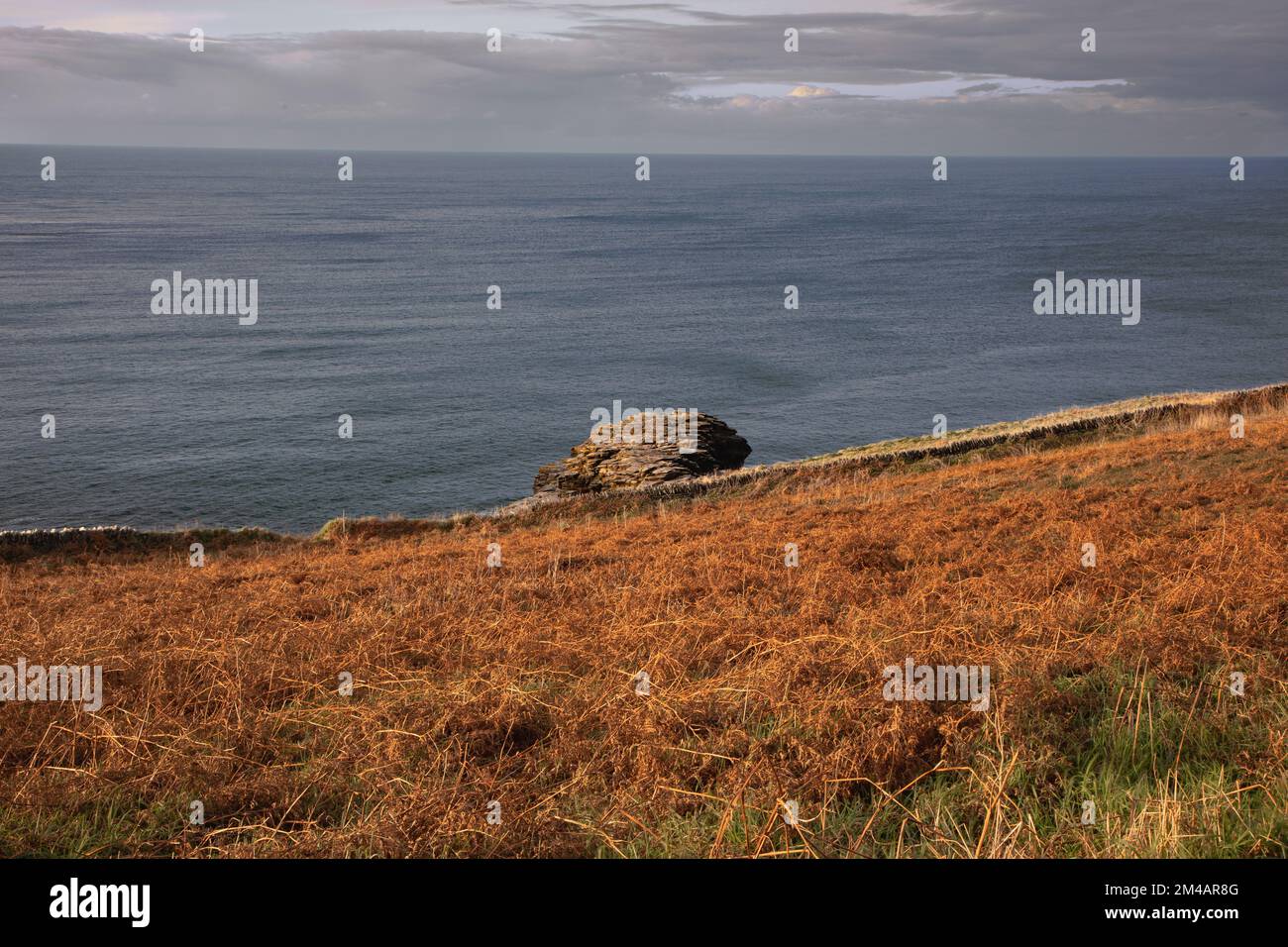 Steep steps leading to the top of a cliff at Tintagel Stock Photo - Alamy