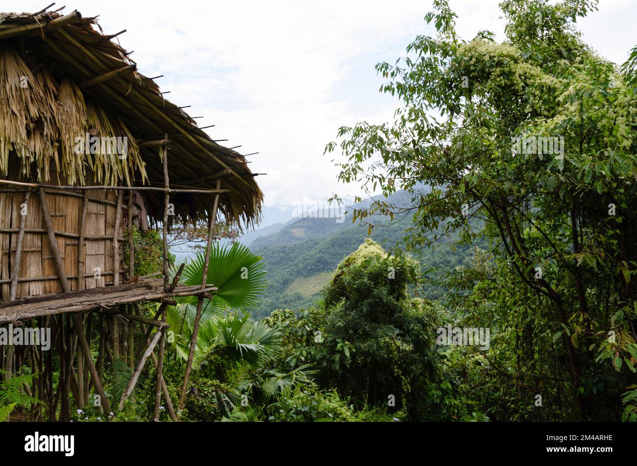 The village Kicho of the Nishi-Tribe lies picturesque in the hills of ...