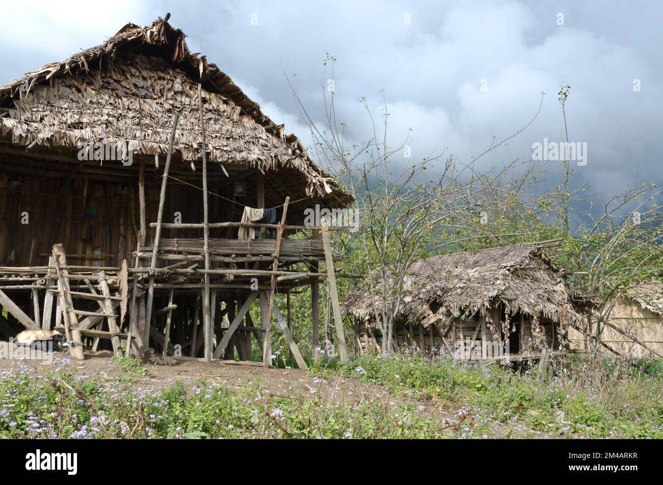 The village Kicho of the Nishi-Tribe lies picturesque in the hills of ...