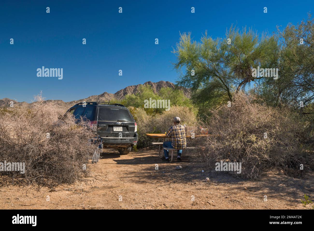 Arizona climate papago hi-res stock photography and images - Alamy