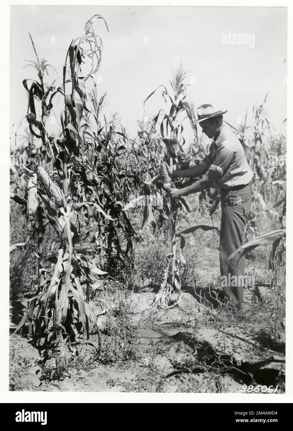 Farm management practices Cut Out Stock Images & Pictures - Alamy