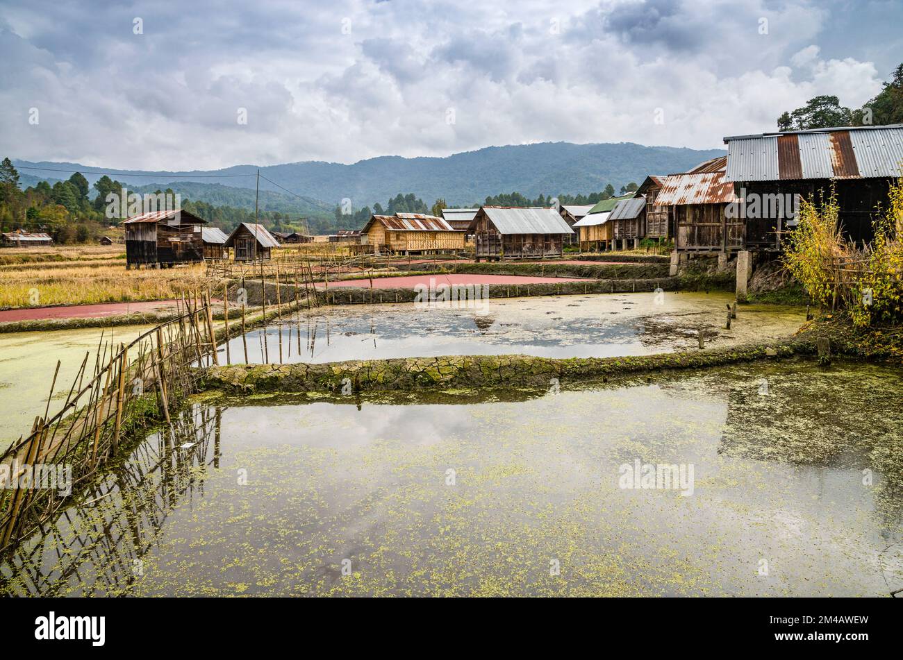 Ziro culture hi-res stock photography and images - Alamy