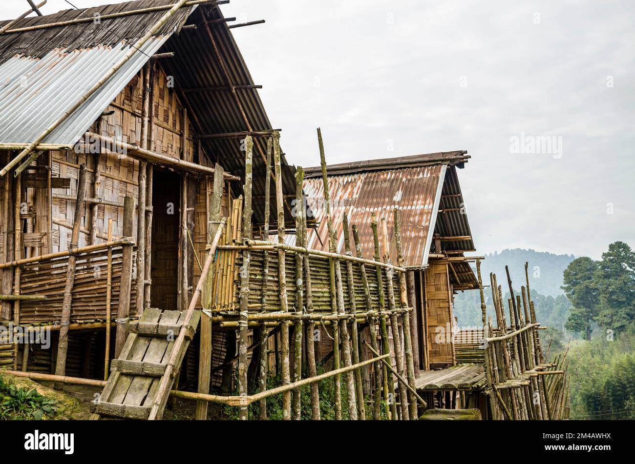 Traditional houses of the Apatani tribe in the village Hong in the ...