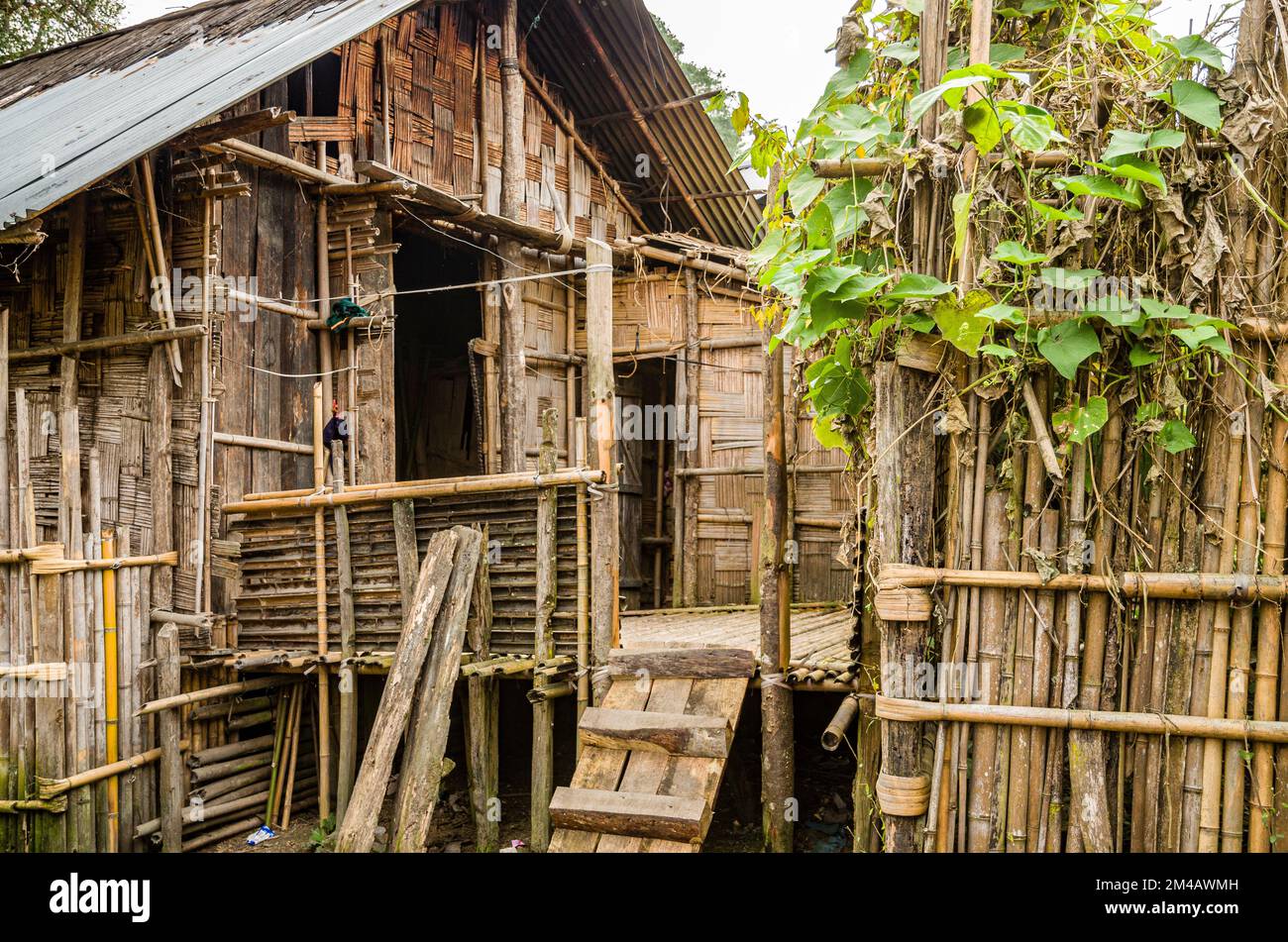 Traditional houses of the Apatani tribe in the village Hong in the ...