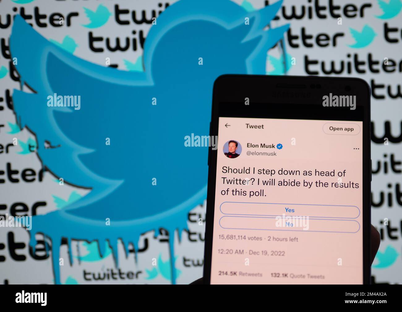 Elon Musk Twitter page seen on mobile with his poll to step down as ...