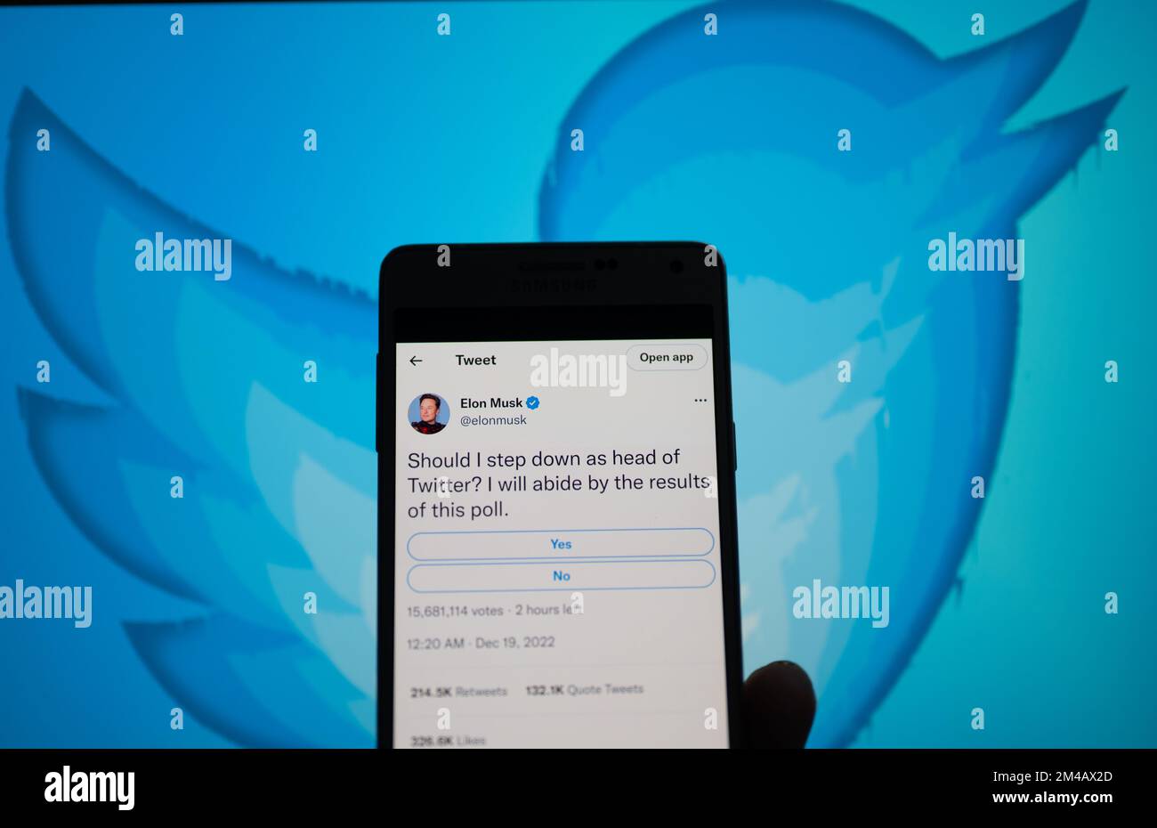 Elon Musk Twitter page seen on mobile with his poll to step down as ...
