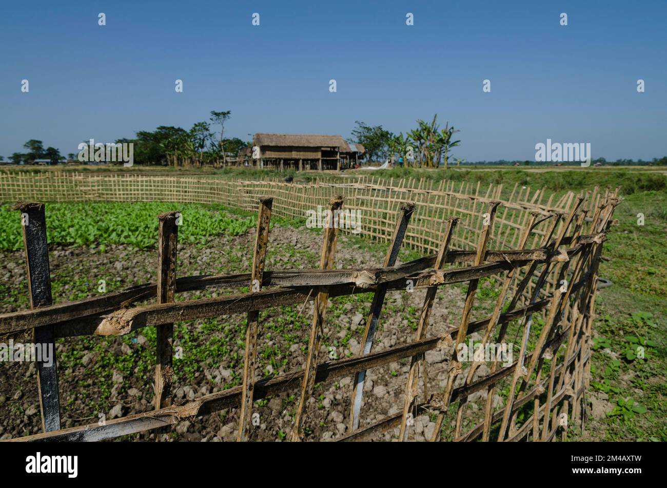 Farmers of the Mishing-Tribe still live the traditional way in villages ...