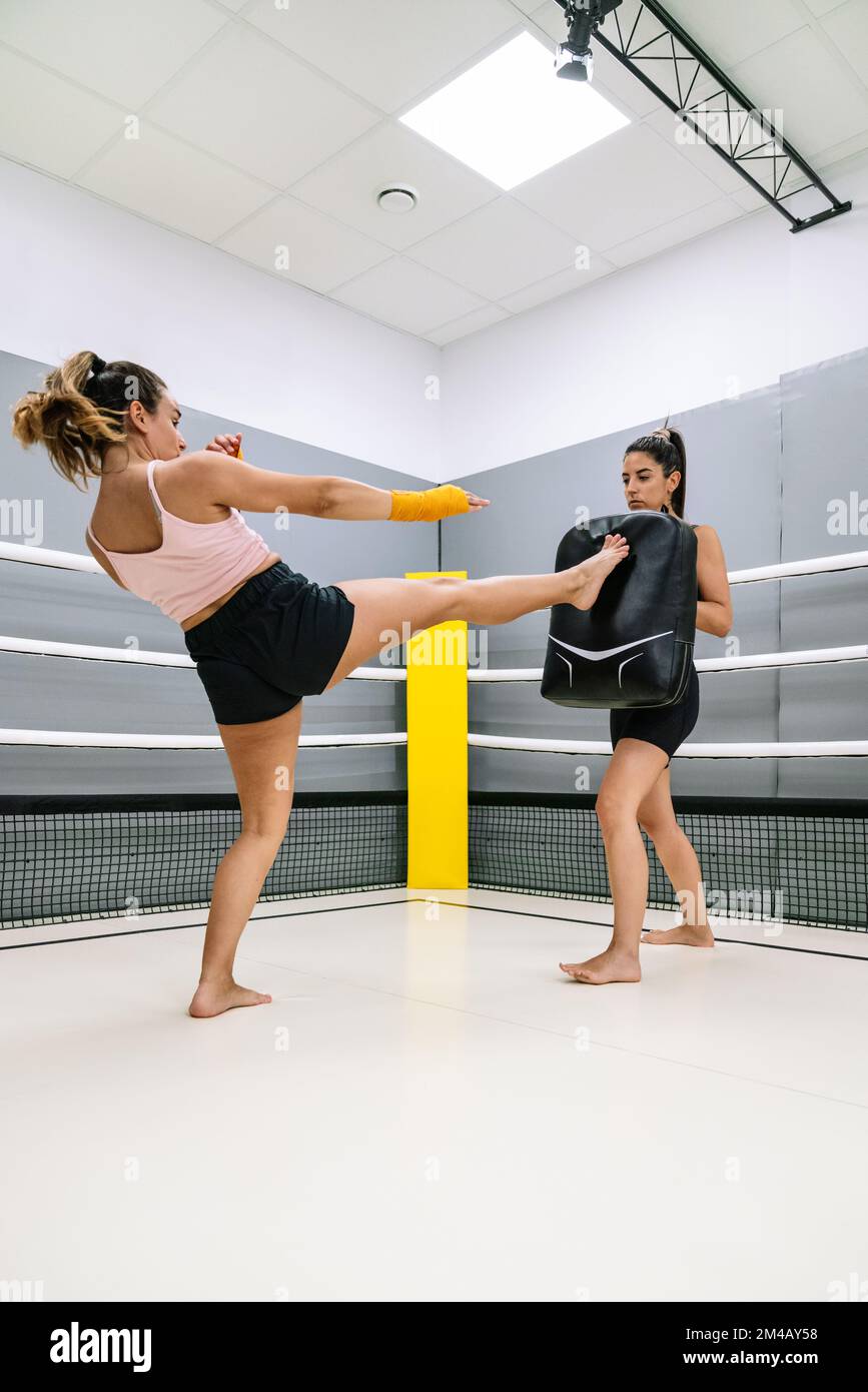 Kickboxer doing a front kick during a practice with her colleague at ...