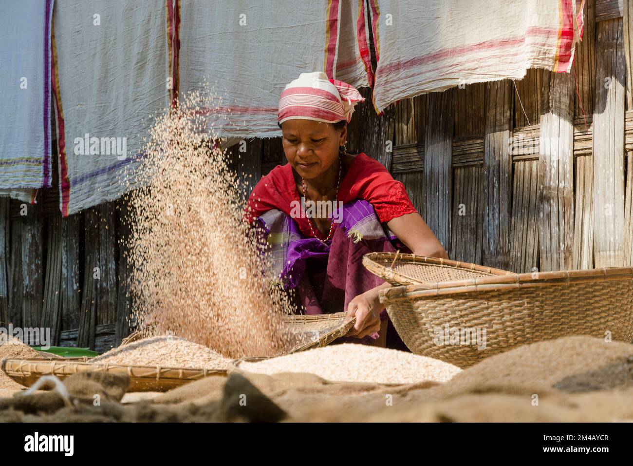 Women of the Deori-Tribe is cleaning the crops in the traditional way ...
