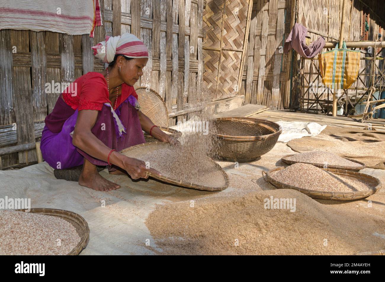 Women of the Deori-Tribe is cleaning the crops in the traditional way ...