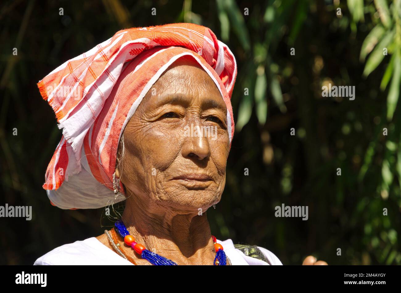 Old proud lady of the Deori-Tribe in Major Deori village Stock Photo ...
