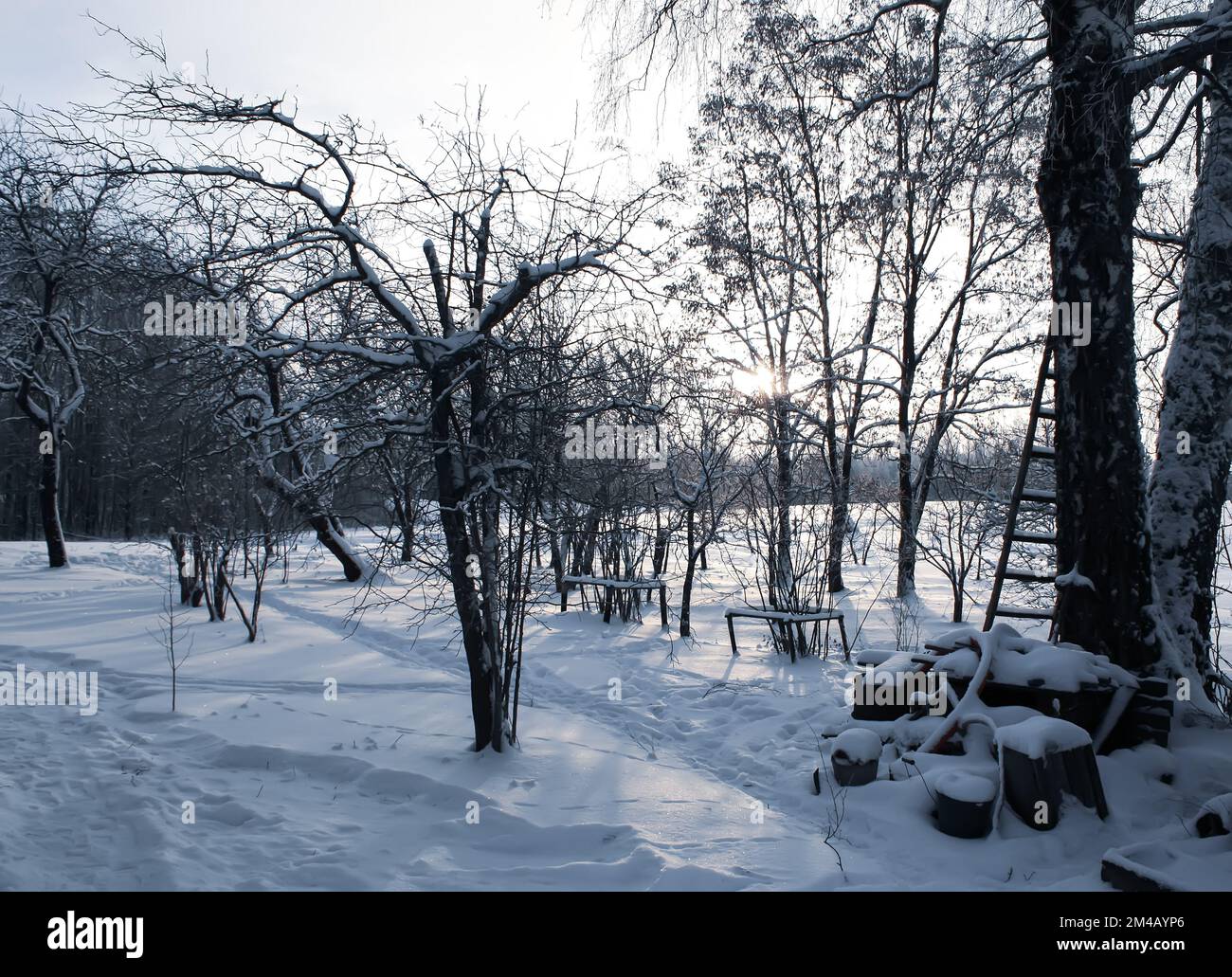 Seasonal nature background. Winter nature details Stock Photo - Alamy