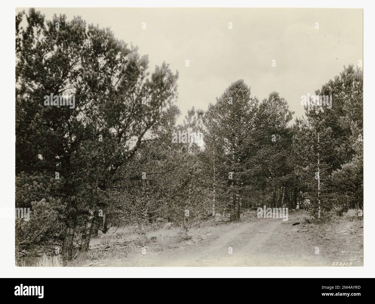 Community types Cut Out Stock Images & Pictures - Alamy