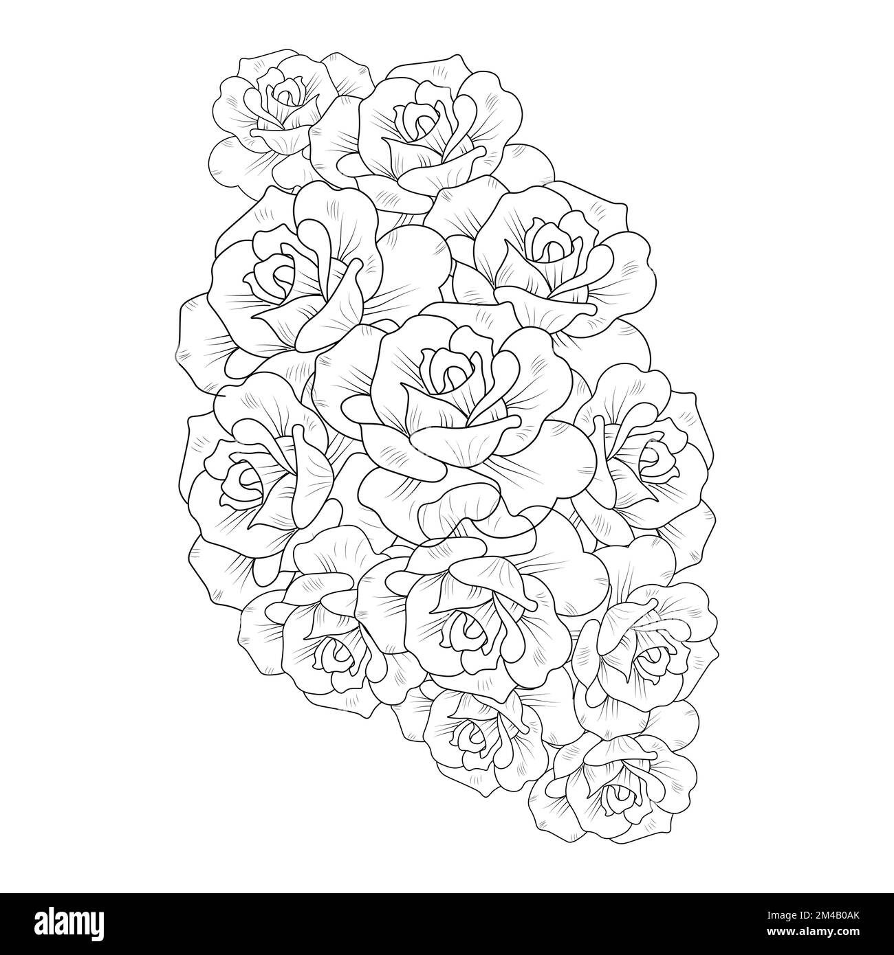rose flower vector illustration with rose bouquet blooming petal for ...