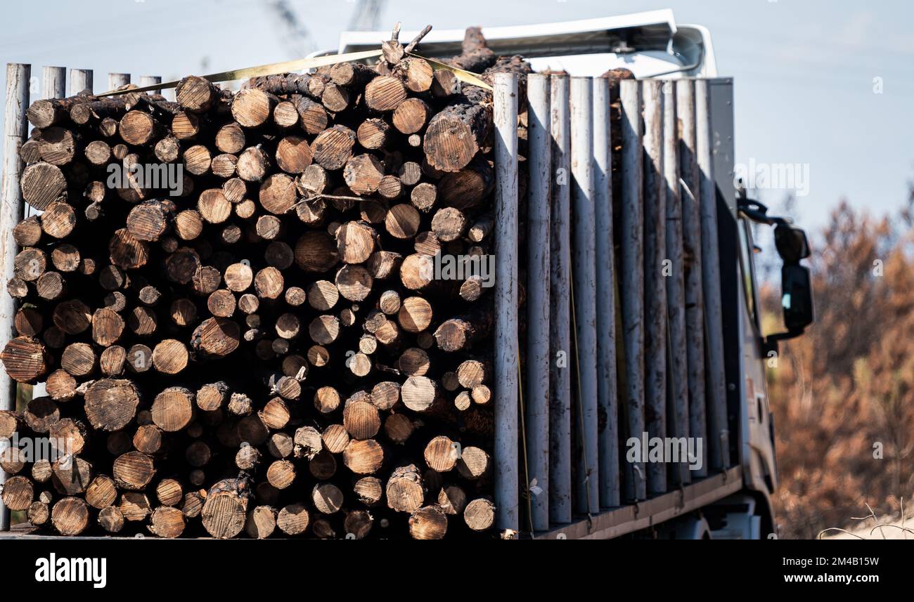 Truck loaded with logs forest tree hi-res stock photography and images ...