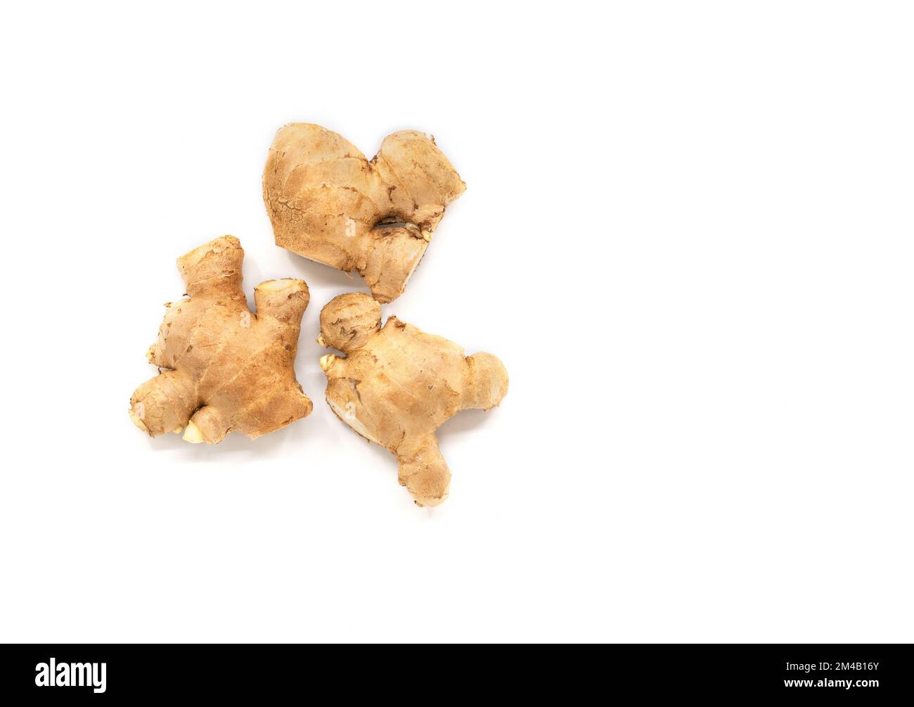 Isolated young gingers on white background, flat lay three small cuts ...