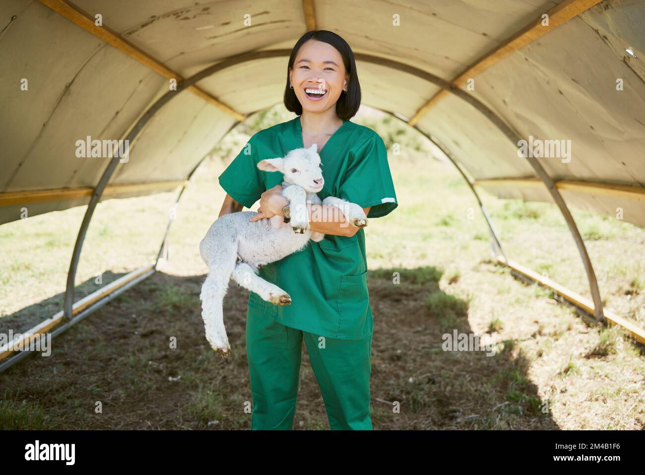 Woman with little lamb hi-res stock photography and images - Alamy