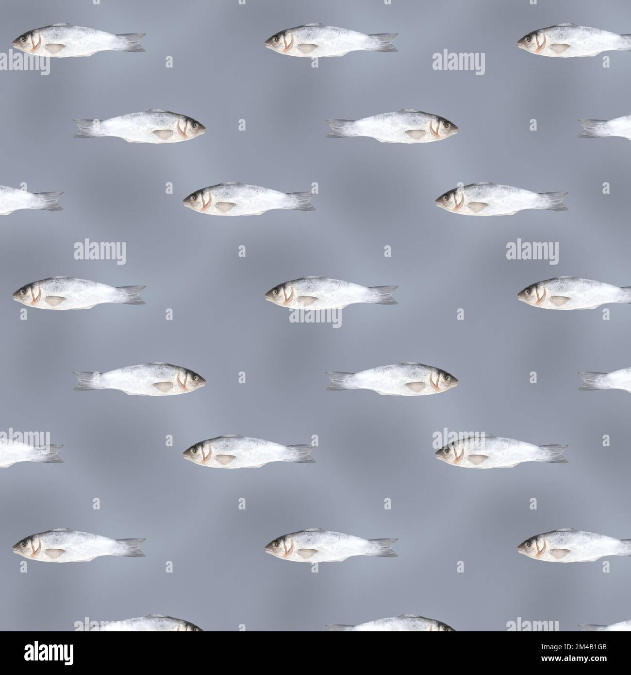Seamless seafood pattern hand hi-res stock photography and images - Alamy