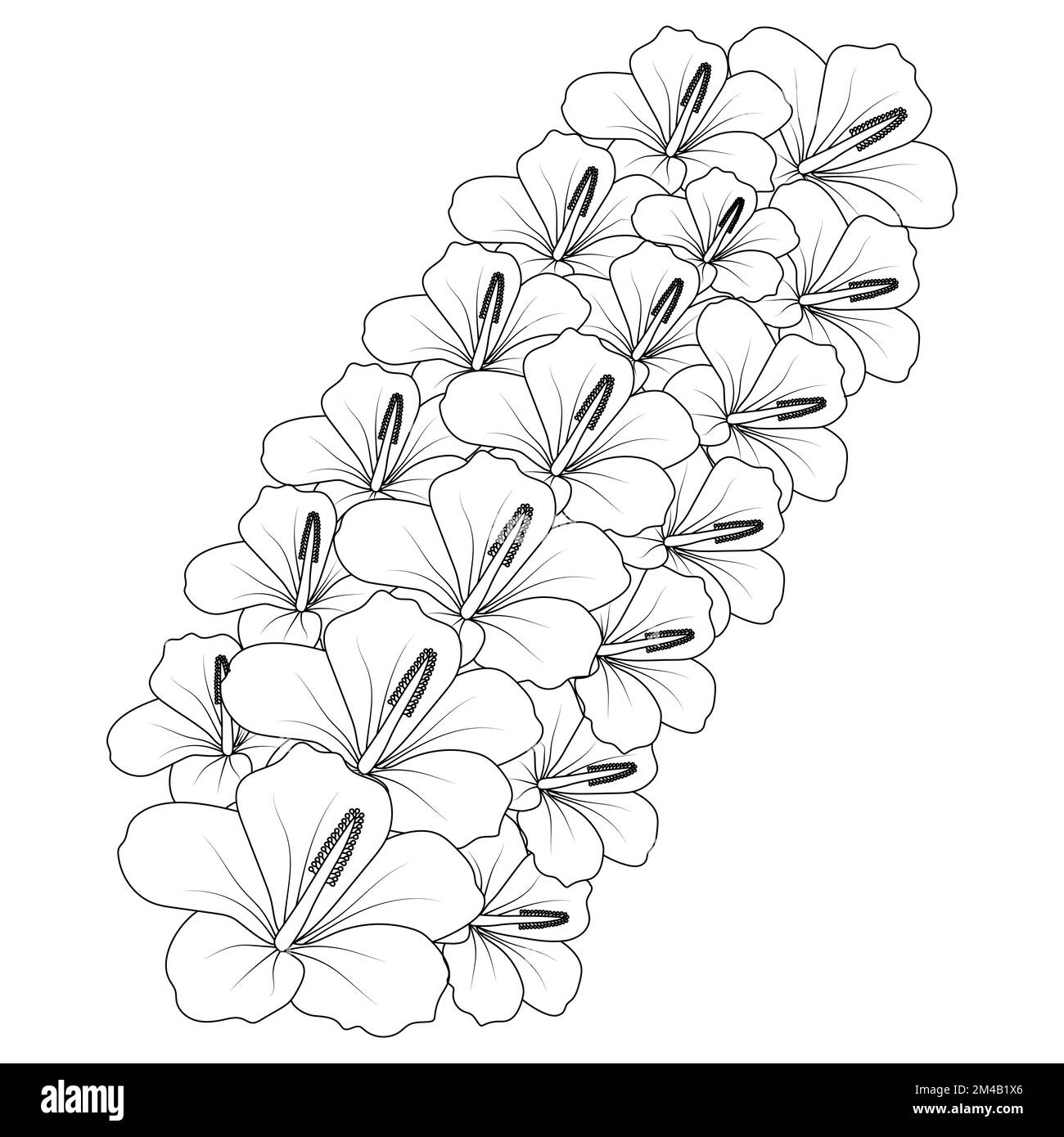 chinese hibiscus flower hand drawn coloring page illustration with line ...