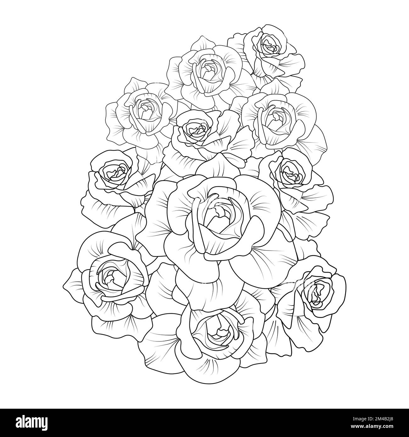 rose flower vector illustration with rose bouquet blooming petal for ...