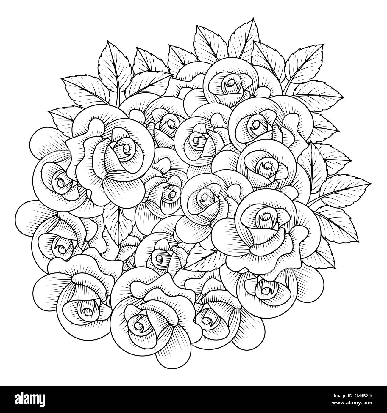 rose flower vector illustration with rose bouquet blooming petal for ...