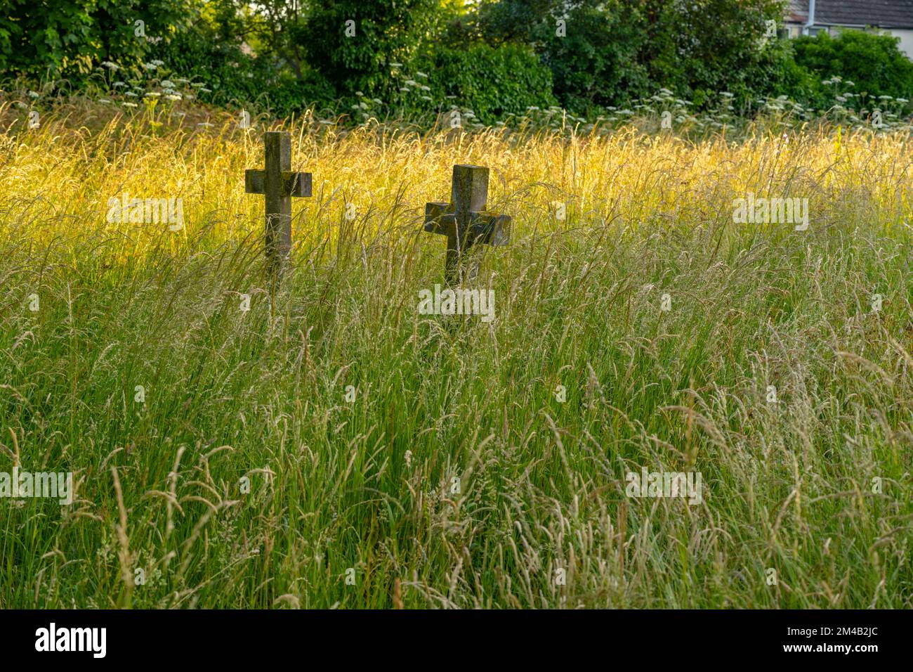 The church yard of St Marys church Lower Higham Kent Stock Photo - Alamy