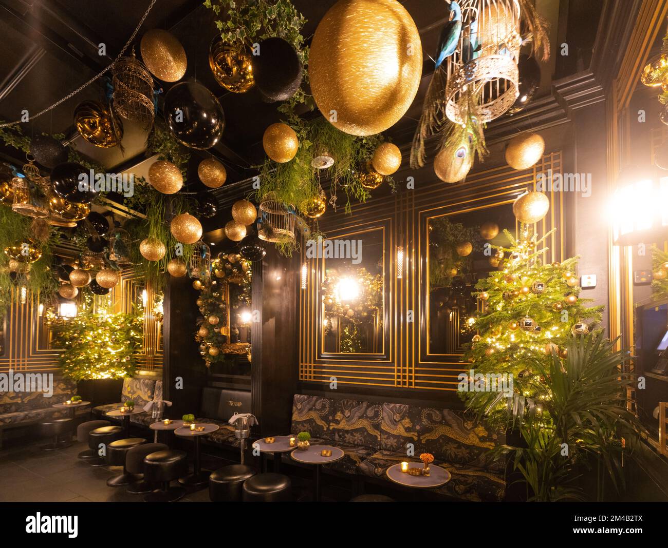 Tramp Private Club, Storied nightspot, open to members & guests only, known for its celebrity ...