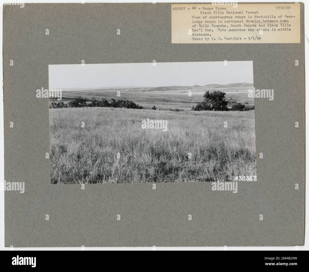 Grassland Types - Wyoming. Photographs Relating to National Forests ...