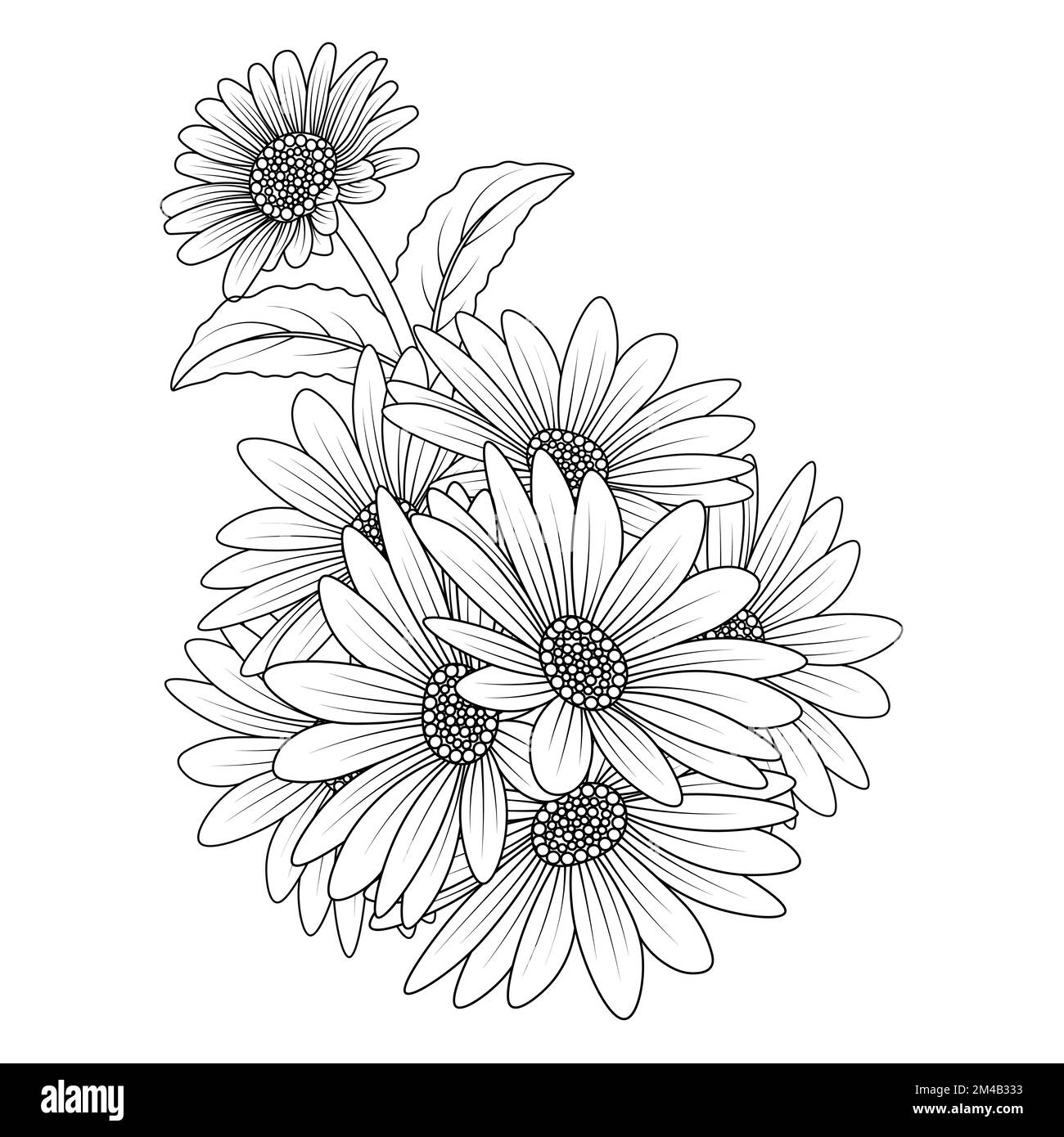 daisy flower daisies outline vector design in detailed line art ...