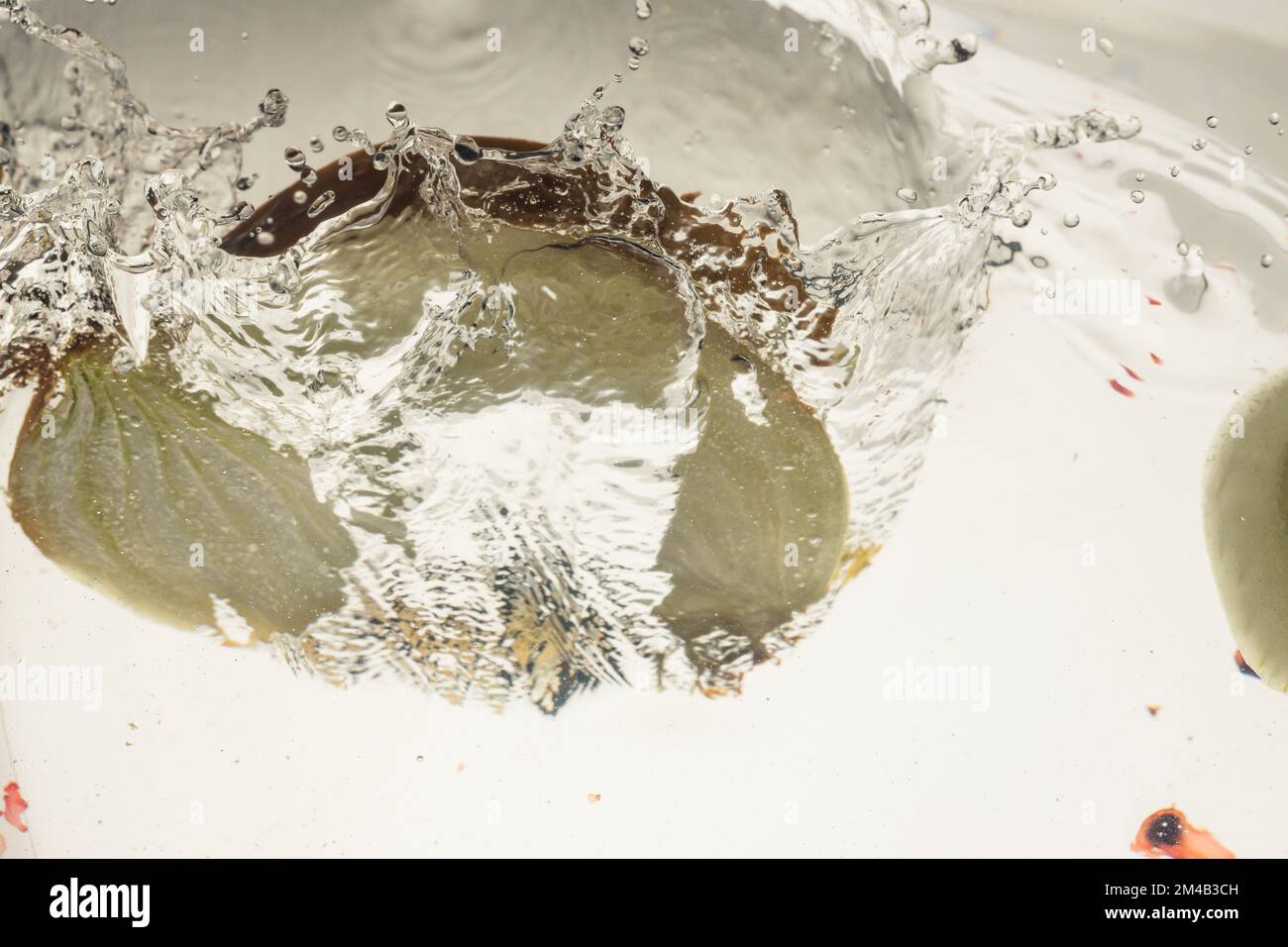 Onion Falls Into The Water Stock Photo - Alamy