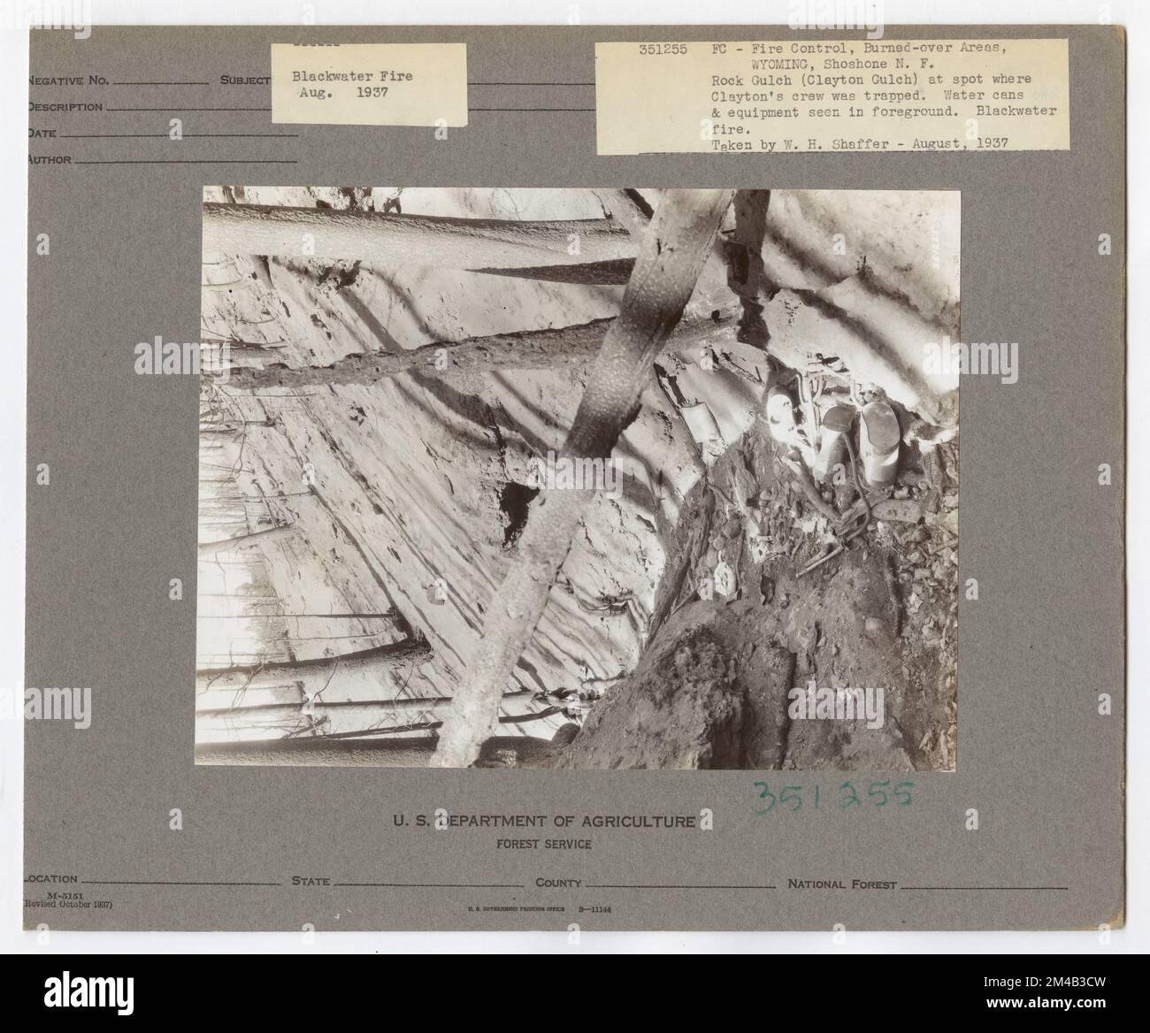 Burned -Over Areas - Wyoming. Photographs Relating to National Forests ...
