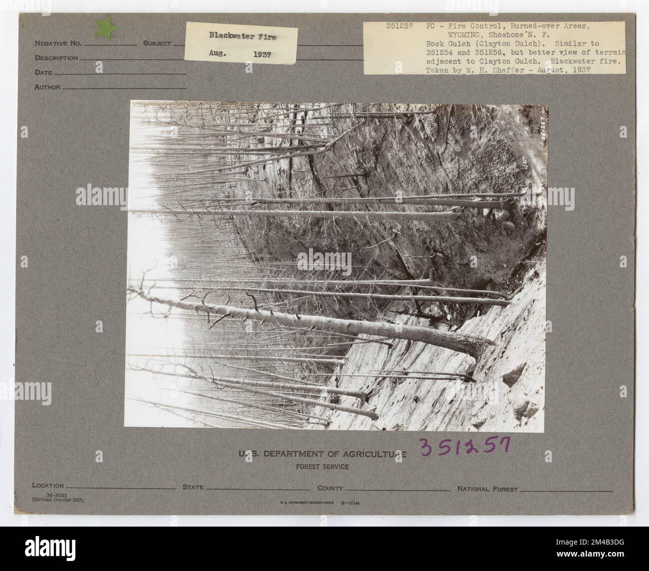 Burned -Over Areas - Wyoming. Photographs Relating to National Forests ...