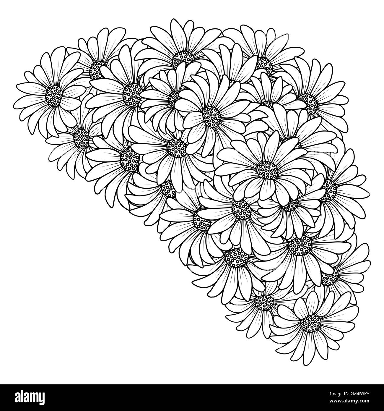 Blossom Daisy Flower Simplicity Sketchy With Artistic Illustration On
