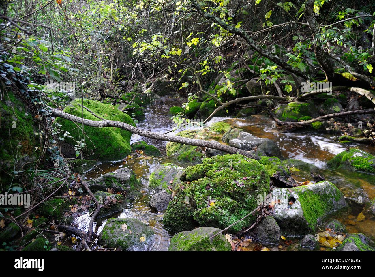 The river of Badde Manna valley Stock Photo - Alamy