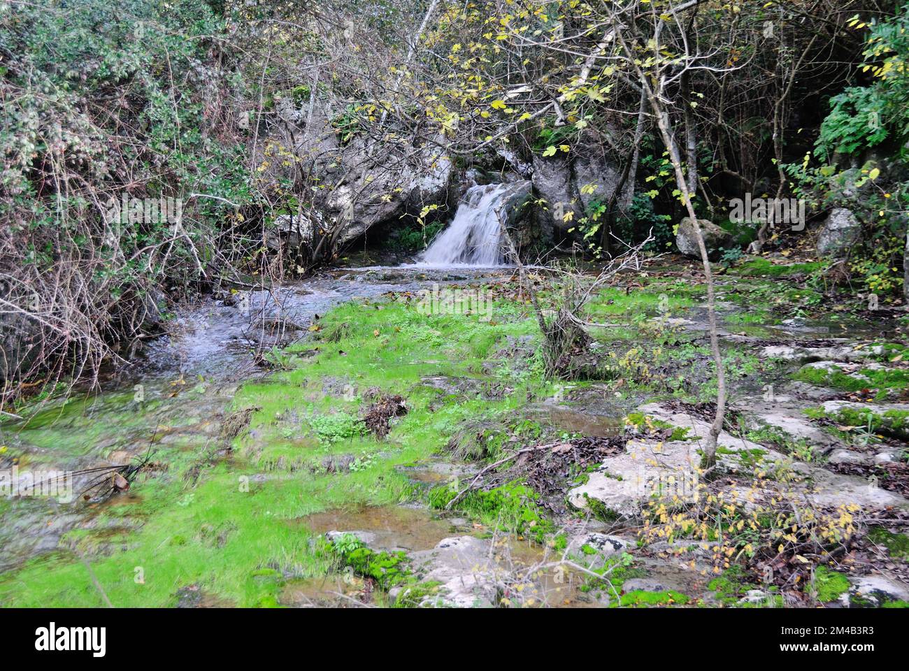 The river of Badde Manna valley Stock Photo - Alamy