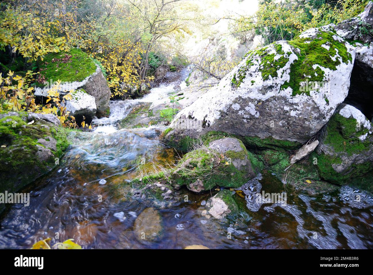 The river of Badde Manna valley Stock Photo - Alamy