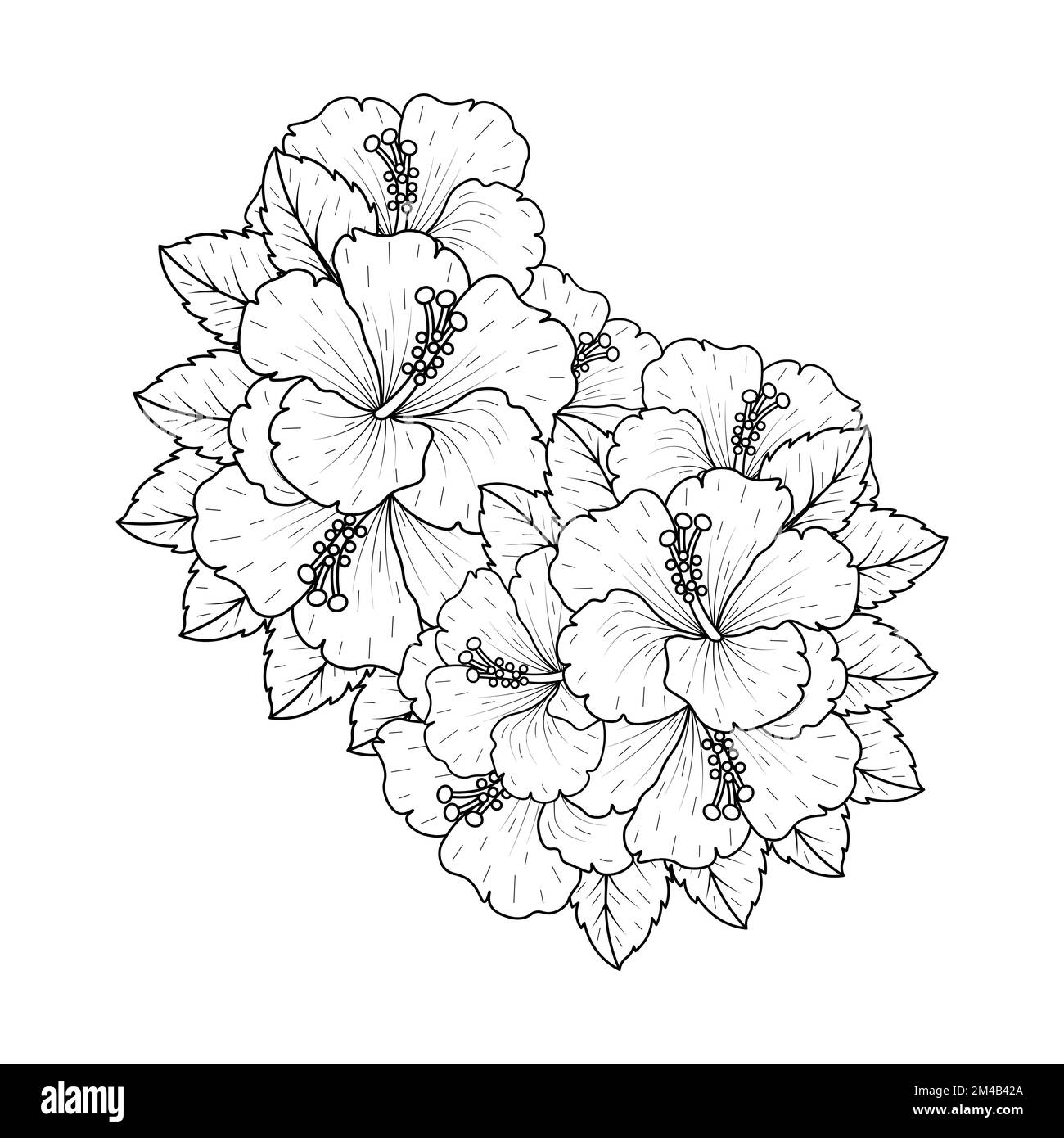 common hibiscus flower outline blossoming petal or rose mallow flowers ...