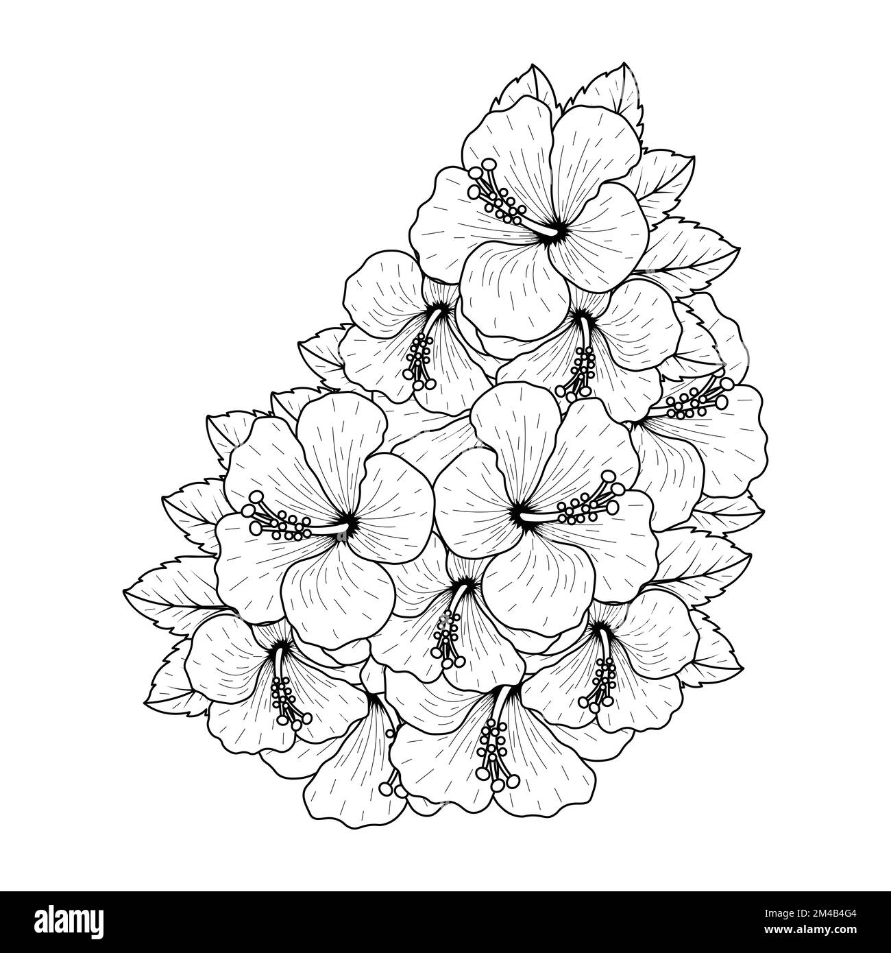 common hibiscus flower outline blossoming petal or rose mallow flowers ...