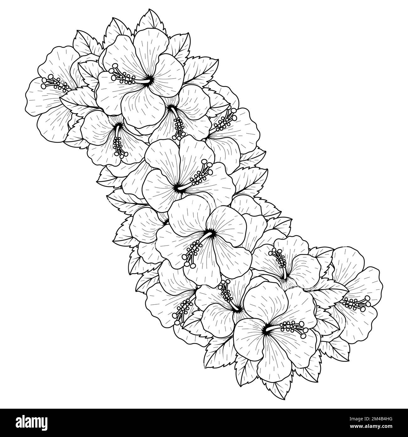 common hibiscus flower outline blossoming petal or rose mallow flowers ...