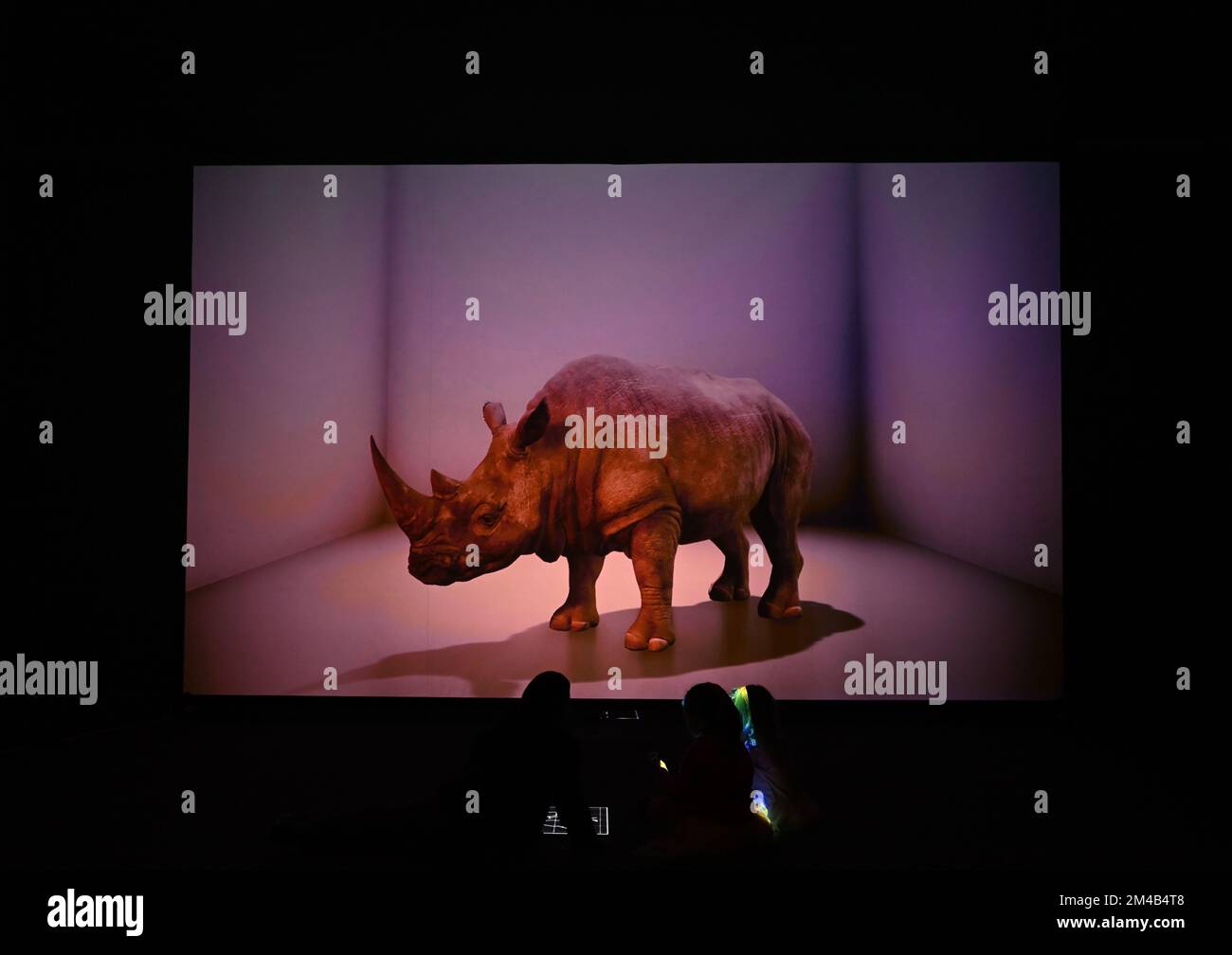 The Substitute, a video installation by artist Alexandra Daisy Ginsberg ...